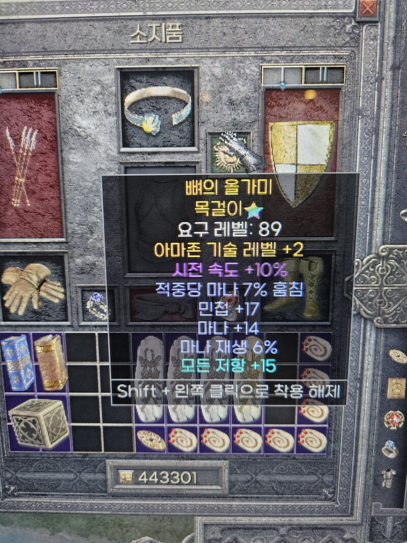 아마존 목걸이 감정좀 부탁드립니다 디아블로2 자유 게시판 디아블로2 인벤