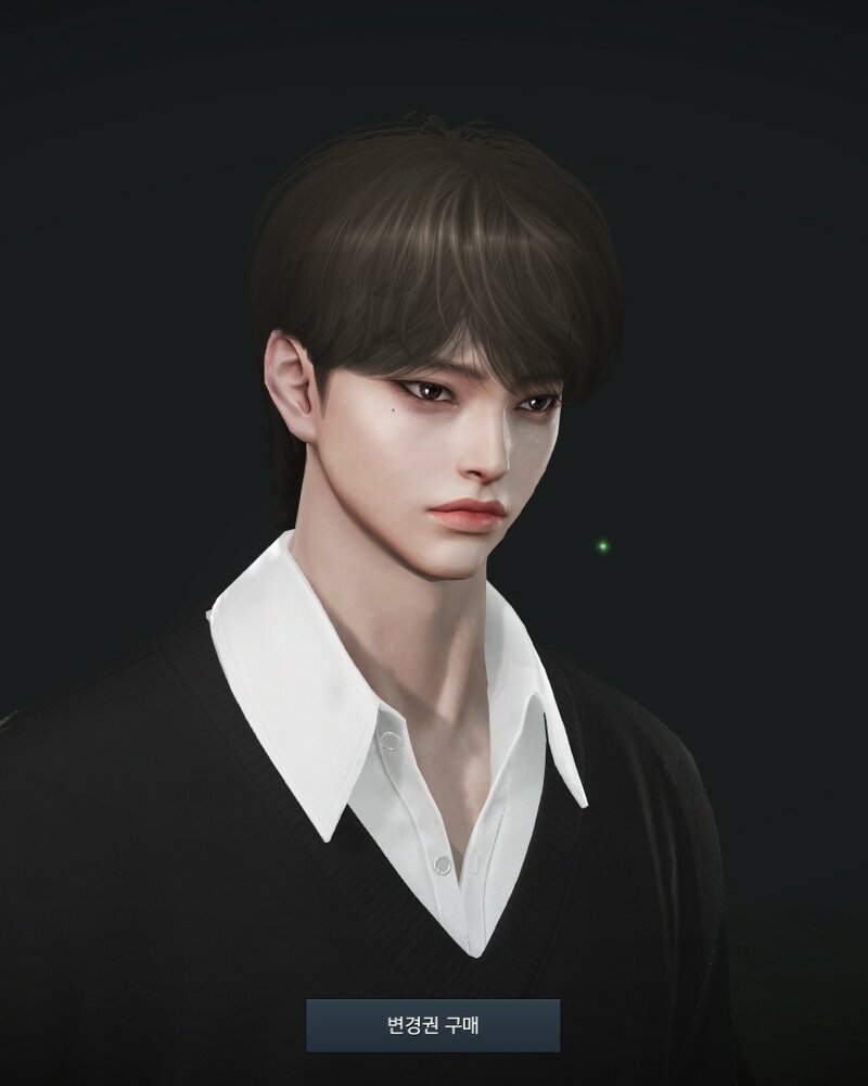 로스트아크 인벤 헤어변경권은 안 파냐 로스트아크 인벤 스크린샷 갤러리
