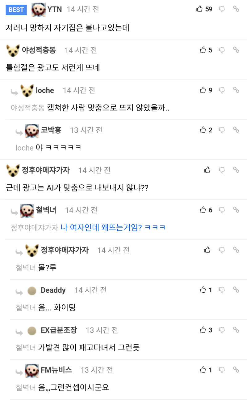 살코 한동훈 민심 근황 오픈이슈갤러리 인벤