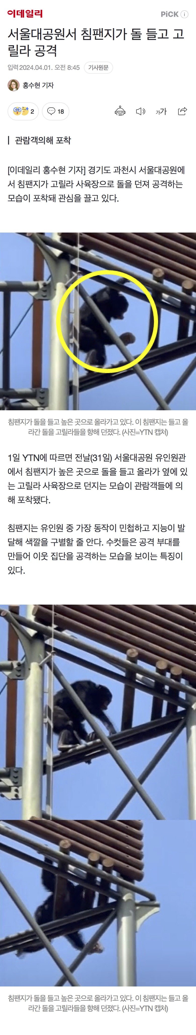 서울대공원서 침팬지가 돌 들고 고릴라 공격 볼텍스 게이밍