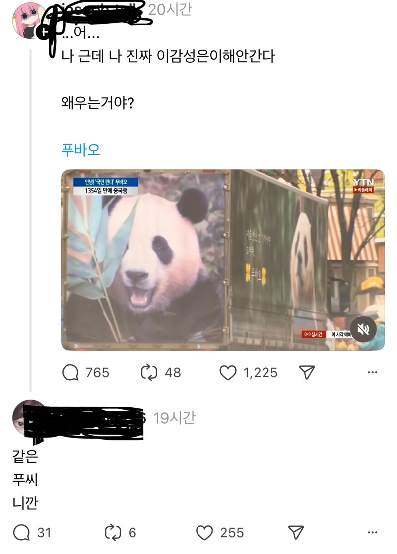 19푸바오가 떠나는게 슬픈 이유 볼텍스 게이밍
