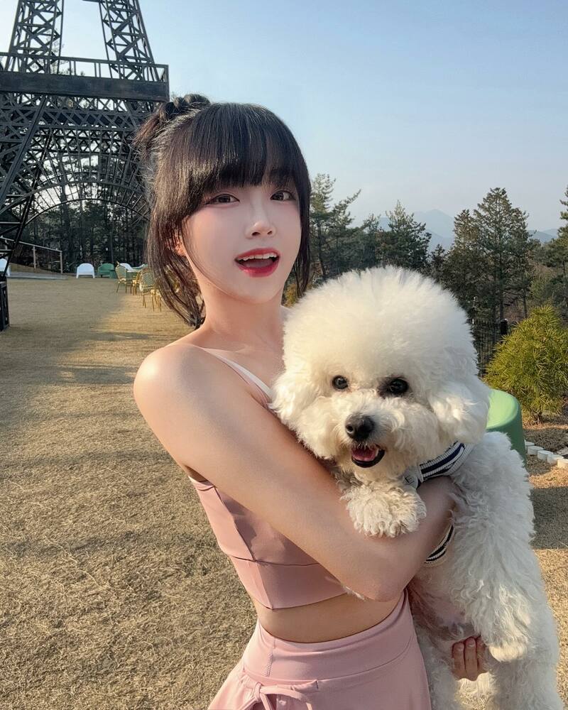 메이플스토리 인벤 강아지 귀엽다 메이플스토리 인벤 자유게시판