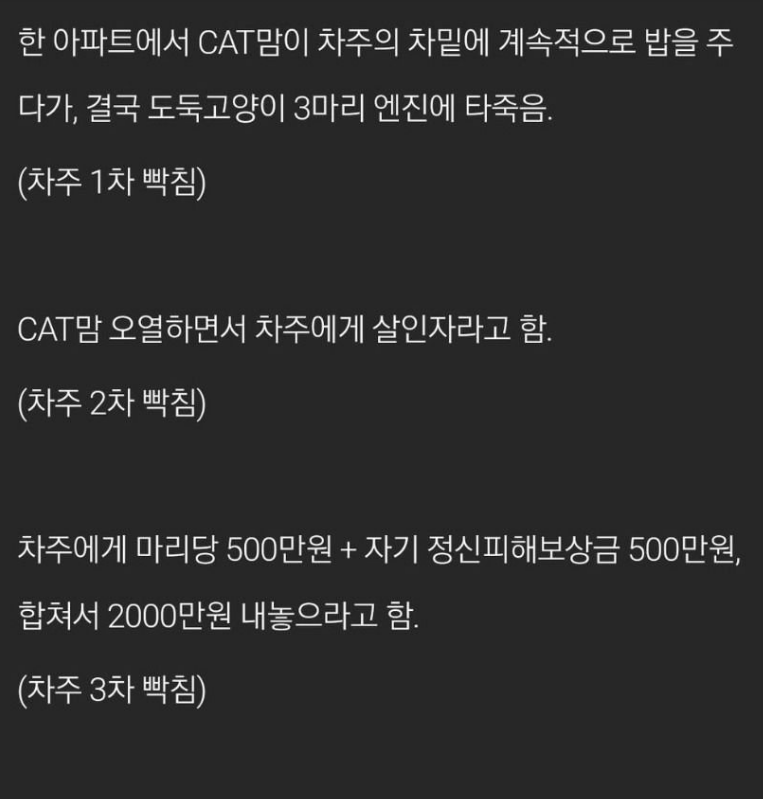 차주에게 2천만원 위로금 요구 사건 엔딩 Vortex Gaming