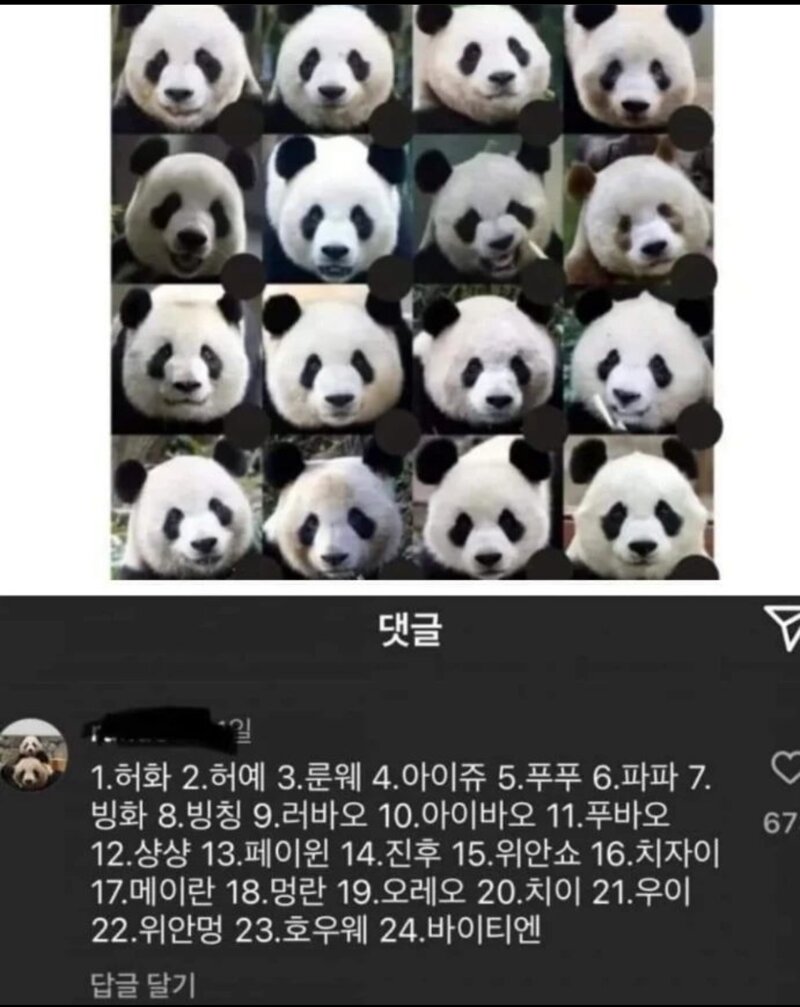 메이플스토리 커뮤니티 화제 푸바오 댓글 ㅋㅋㅋㅋ Vortex Gaming