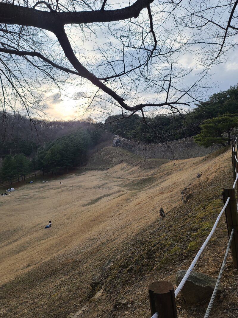 통계학적으로 이렇게 전부 다 틀릴수가 있을까 Vortex Gaming