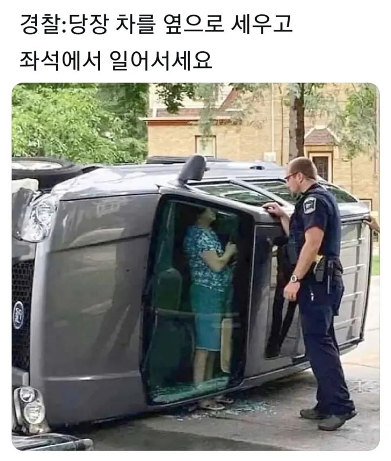오픈 이슈 갤러리 단속나왔습니다 차 세우세요 Vortex Gaming
