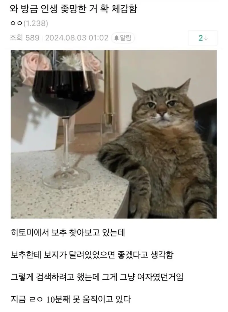 인생 망한걸 확 체감했다는 디시인 볼텍스 게이밍