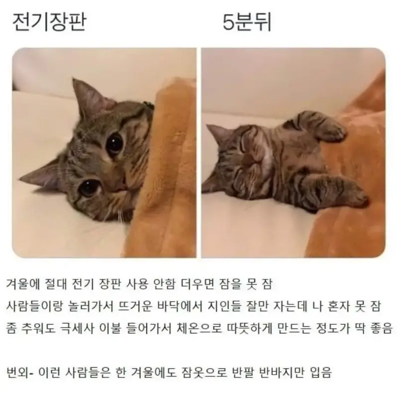오픈 이슈 갤러리 몸에 열 많은 사람들 특징 Vortex Gaming