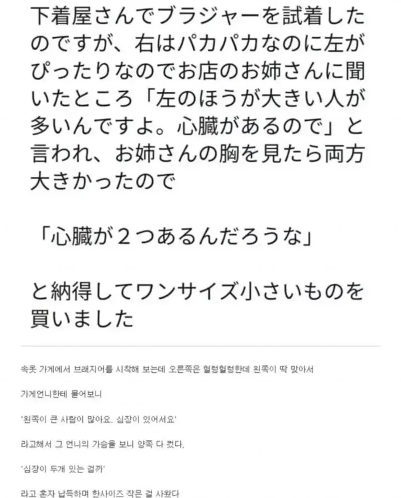 속옷가게 직원이 글래머인 이유 Vortex Gaming