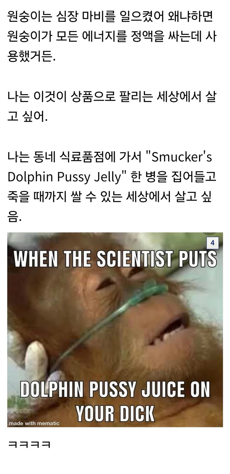 약ㅎㅕㅁ돌고래 ㅂㅈ 젤리 오픈이슈갤러리 디아블로3 인벤
