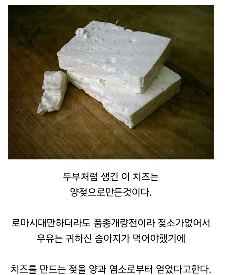 싸구려에서 고급으로 신분역전한 음식들 볼텍스 게이밍