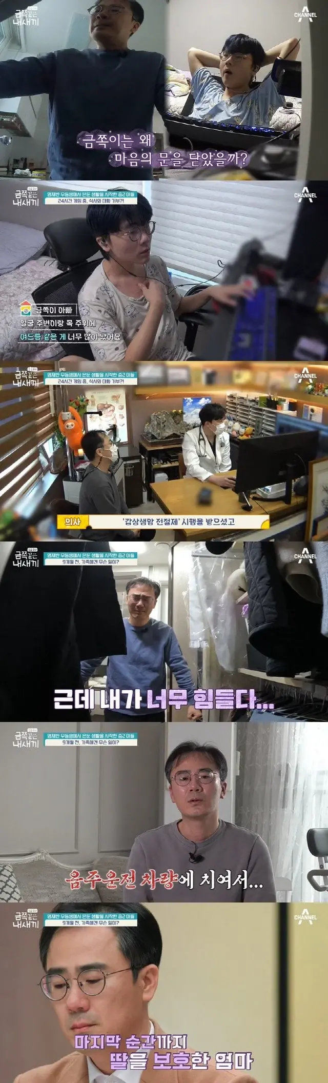 로스트아크 인벤 금쪽이 가장 슬픈 방송 ㅁㅊ ㄷㄷㄷㄷㄷㄷ 로스트아크 인벤 자유 게시판